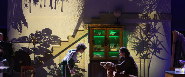 Kantjil en de tijger van Toneelmakerij, Oorkaan en Studio Figur